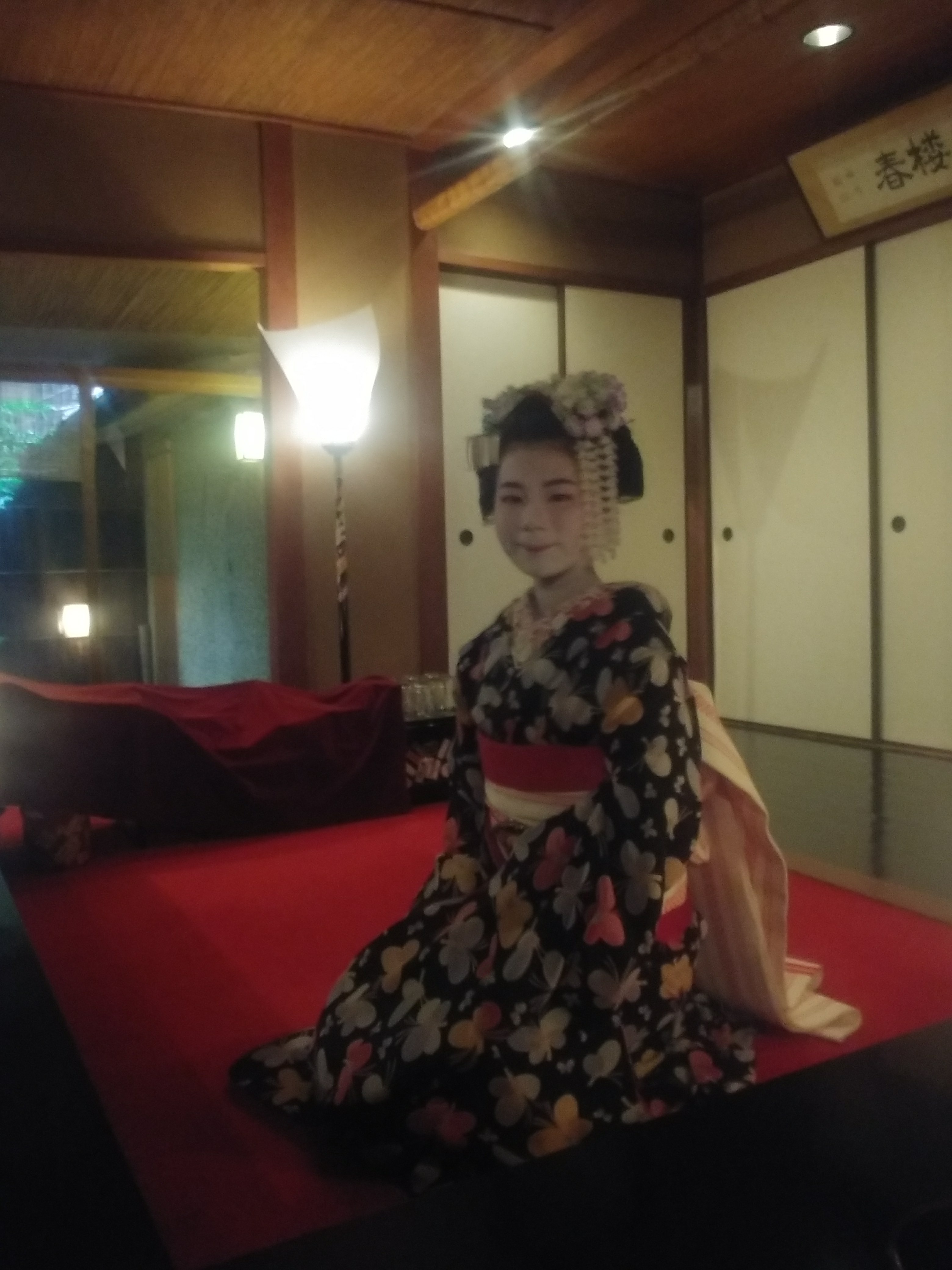 Geiko, a Geisha by Another Name – Travels with Owen