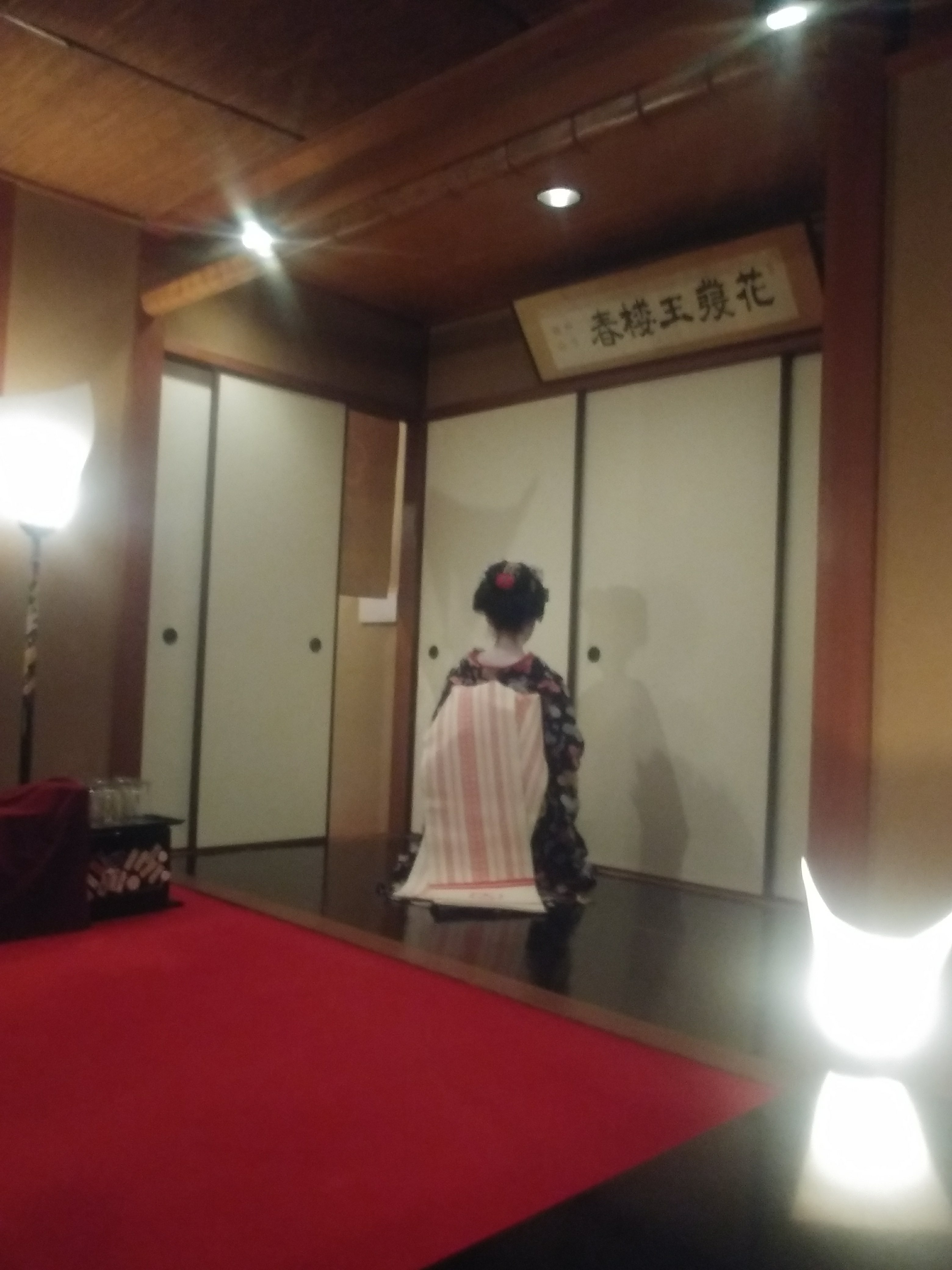 Geiko, a Geisha by Another Name – Travels with Owen